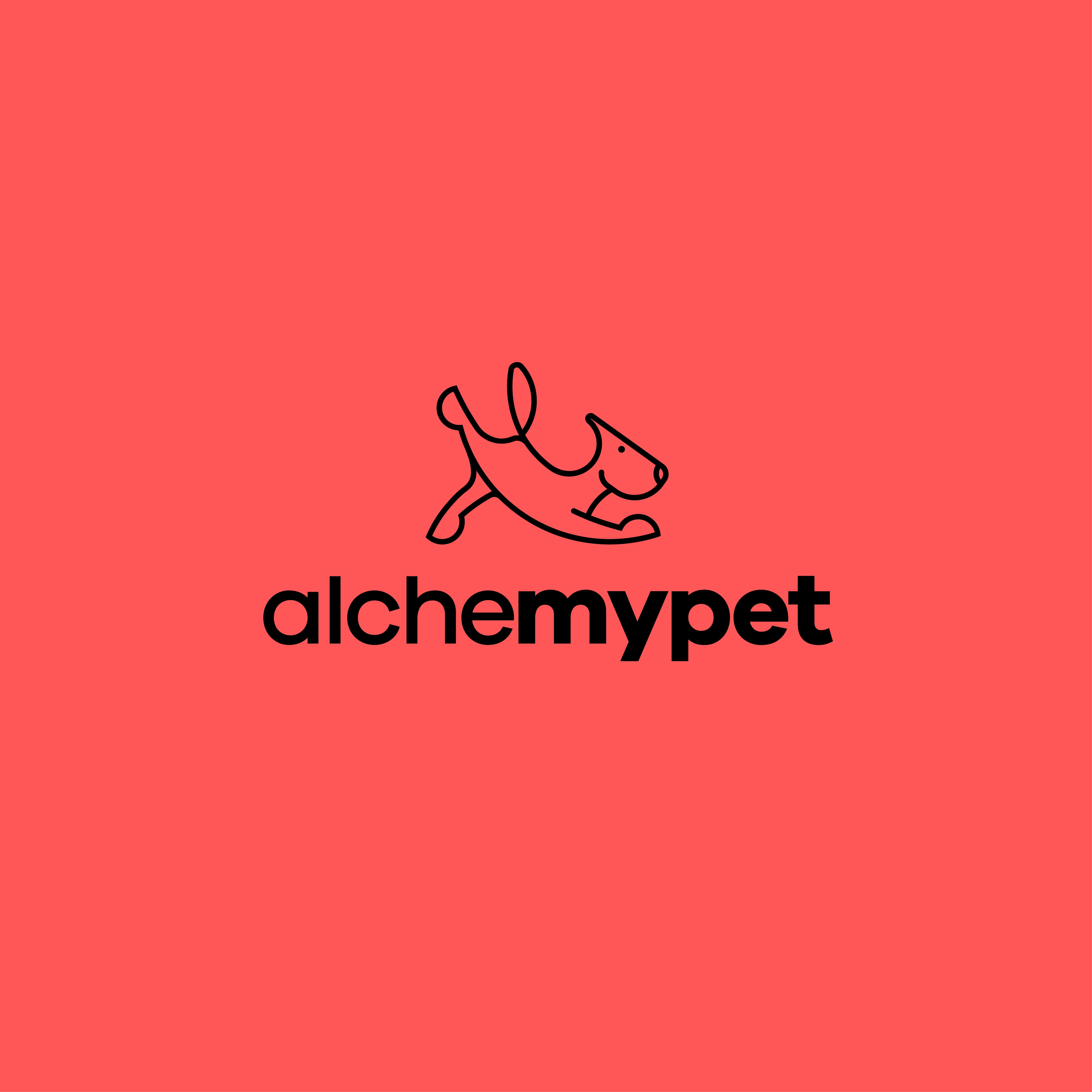 Learn More About Dogs – alchemypet